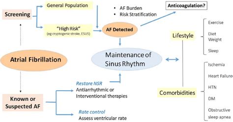 Mhealth And Af Applications Include Screening For Af In General Or Download Scientific Diagram