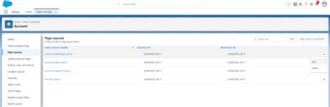 Where Do The Fields And Sections From A Page Layout Appear When You