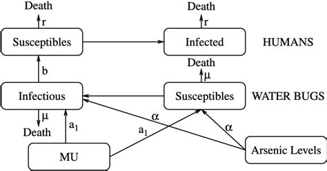 Schematic Representation Showing Interrelations Between The Download Scientific Diagram