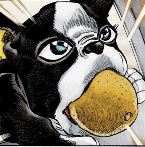 Jojos Bizarre Adventure