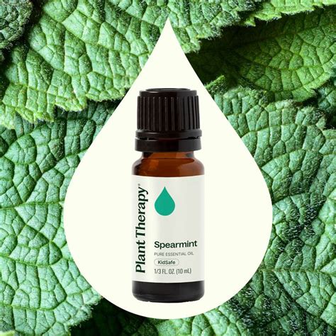 Spearmint Essential Oil 100 Ml Spearmint Essential Oil For