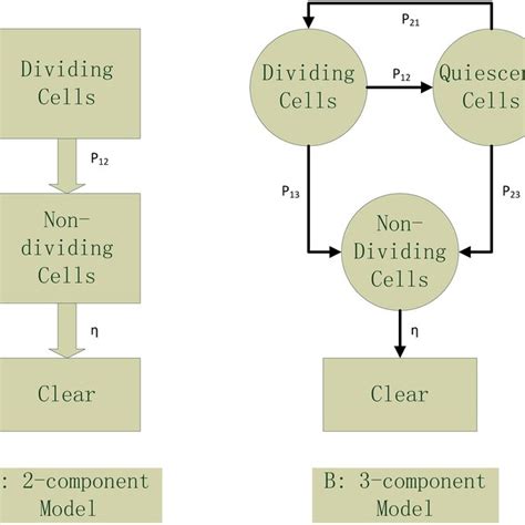 Comparison Of Two‐component Model And Three‐component Model Download