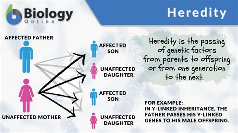 Gene Examples