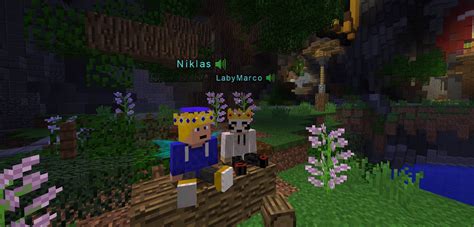 Voice Chat LabyMod Minecraft Client