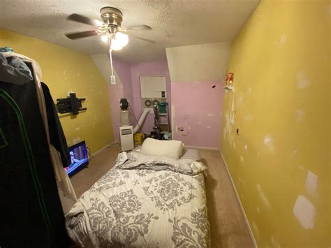 In The Long Process Of Repairing Damaged Walls Rneckbeardnests