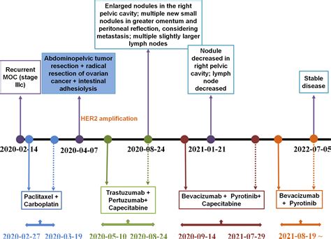 Frontiers Case Report Long Term Clinical Benefit Of Pyrotinib