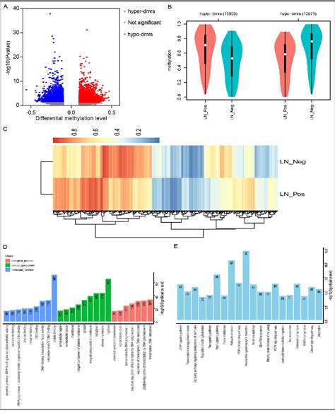 Figure 1 From Identification And Validation Of Dna Methylation Markers To Predict Axillary Lymph