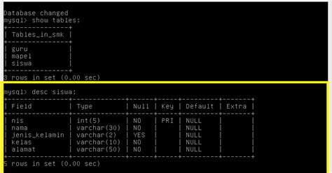 Cara Membuat Database Menggunakan MYSQL Console Pada Debian SERVER