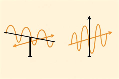 Horizontal Antenna Polarization And Wireless Networks Luxun Antenna Wholesale Manufacturer