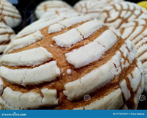 Concha Pan Dulce México Sweet Bread Of Mexico Stock Image Image Of Sweet Mxico 277247391