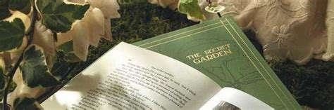 Twitter Header Aesthetic