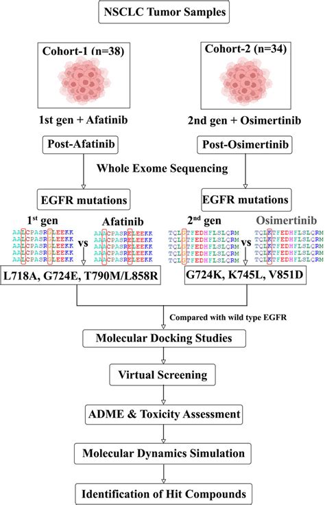Small Ford Trucks For Sale Your Comprehensive Guide To Compact Utility