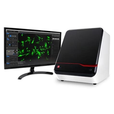 Imaging And Analysis Of 3d Cell Models Using The Celena X High Content Imaging System