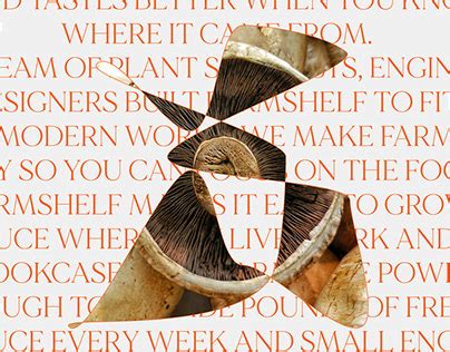 Explorerkit A Sex Education Kit For Grown Ups Behance