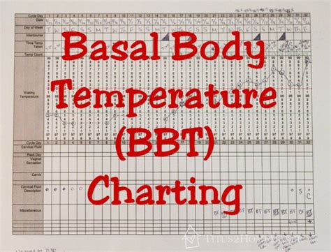Basal Body Temperature BBT Charting