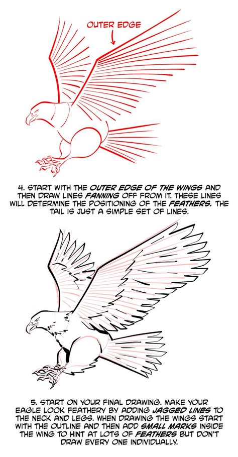 How To Draw Eagles In 3 Easy Steps
