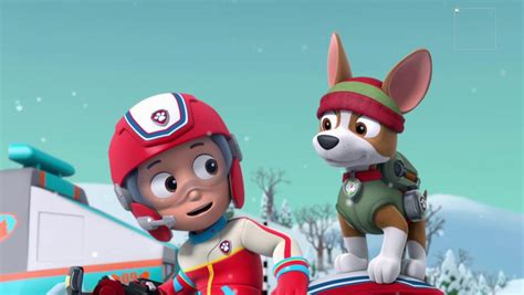 Paw Patrol La Patpatrouille Série Tf1