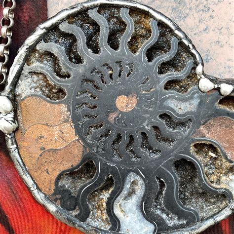 Fibonacci ~ Xl Fossil Black Ammonite Necklace Lily In Flux