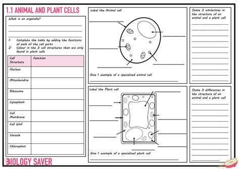 Gcse Biology Revision Mats 1 1 Cell Structure Teaching Resources