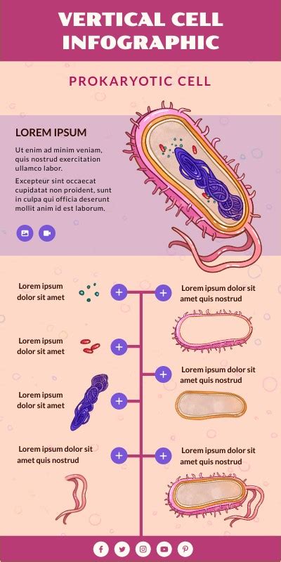 Cell Vertical Info Genially