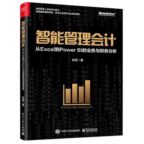 [满45元包邮]智能管理会计：从excel到power bi的业务与财务分析 9787121406706 虎窝淘