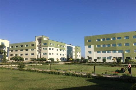 mscet sonipat admission 2024 courses fees placement cut off