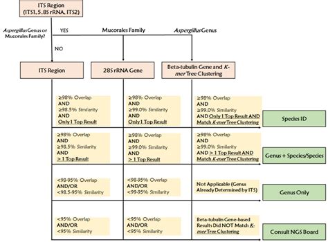 The Workflow Of The Wgs Test For Fungal Identification Download