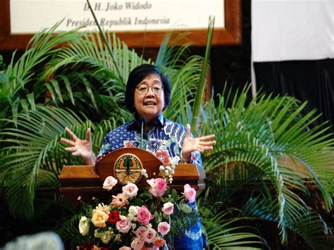 refleksi klhk 2022 tahun penuh keberanian si macan air envira id