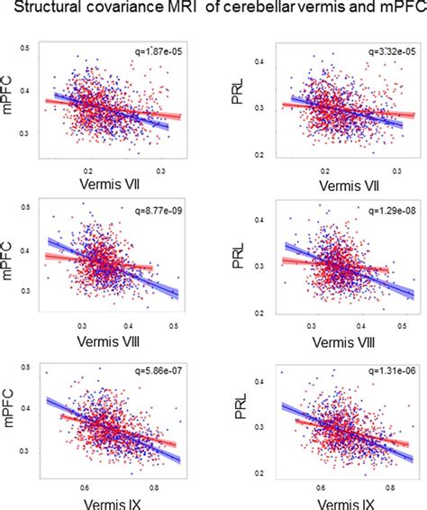 Structural Covariance Mri Of Cerebellar Vermis And Mpfc Structural