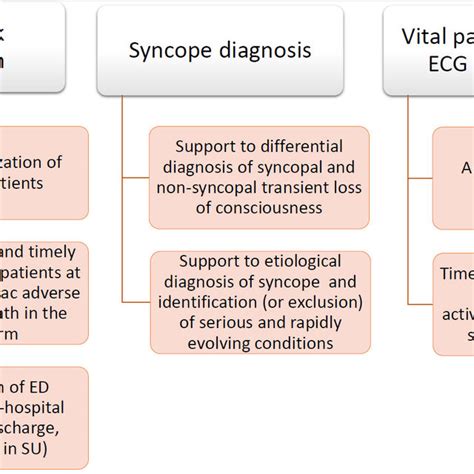 Potential Applications Of Ml Algorithms To The Diagnostic Work Up Of Download Scientific