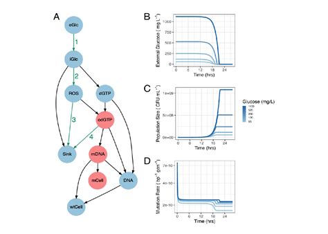 How Ecological Interactions Shape Microbial Mutation Rates To Antimicrobial Resistance 2