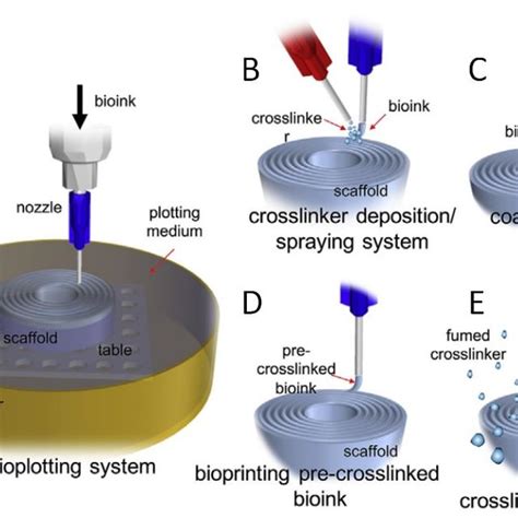 Schematic Diagram Of Printing Principle For Ion Crosslinking Materials