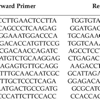 Target And Reference Genes Selected For QPCR National Center For Download Table
