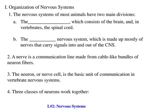 Solution L 2 Introduction To Nervous System Outline Studypool