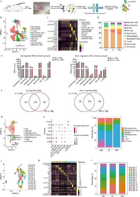 Characteristics Of Dth Based On The Tst A Schematic Of The