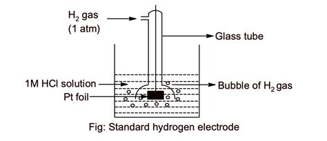 Electrochemistry Neb Grade 12 Notes Physical Chemsistry Sajha Notes