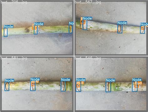 Train Object Detection Models Using YoloV ML Hive