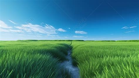 놀라운 3d 렌더링 푸른 하늘을 배경으로 한 무성한 녹색 잔디밭 자연의 캔버스 일몰 풍경 배경 청록색 배경 녹색 잔디 배경 이미지 Hd 일몰 풍경 청록색