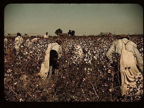 The Majority Of Black Americans Lived In The South Inhabiting The