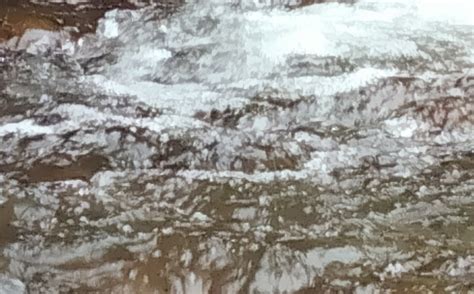 Rinai Sepanjang Hari