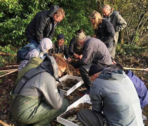 Introduction To Macrophyte Identification Course 30th June 1 July
