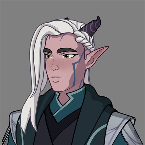 Character Reveal Moonshadow Elf Assassins The Dragon Prince