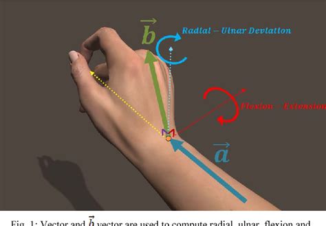 Figure From Restricted Dart Throwing Movement For The Assessment Of Wrist Functionality