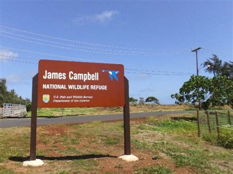 James Campbell National Wildlife Refuge Haleiwa 2021 All You Need
