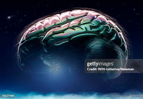 Rainbow Brain Photos And Premium High Res Pictures Getty Images