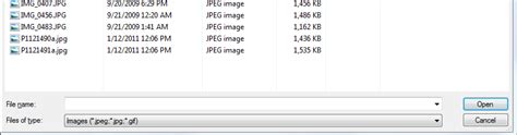 Telerik Web Forms Async Upload Functionality File Filtering Telerik