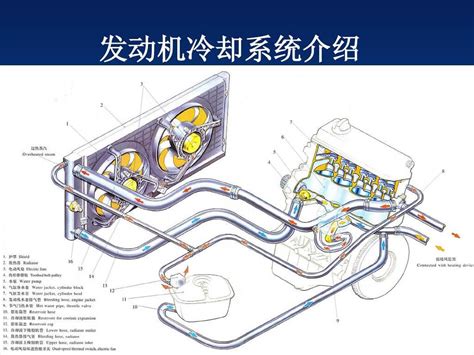 The Working Principle Of Automobile Engine Cooling System 100 Genuine Factory Price