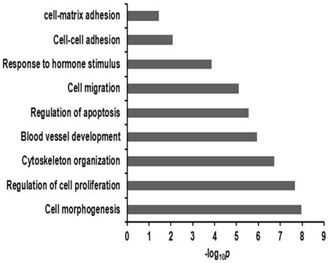 The Negative Log Of The P Value Log10P Was Plotted On The X Axis Download Scientific Diagram