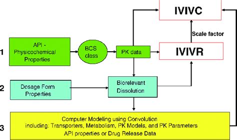 Biorelevant Dissolution In Development Of Ivivc And Ivivr Download Scientific Diagram