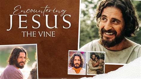encountering jesus the vine